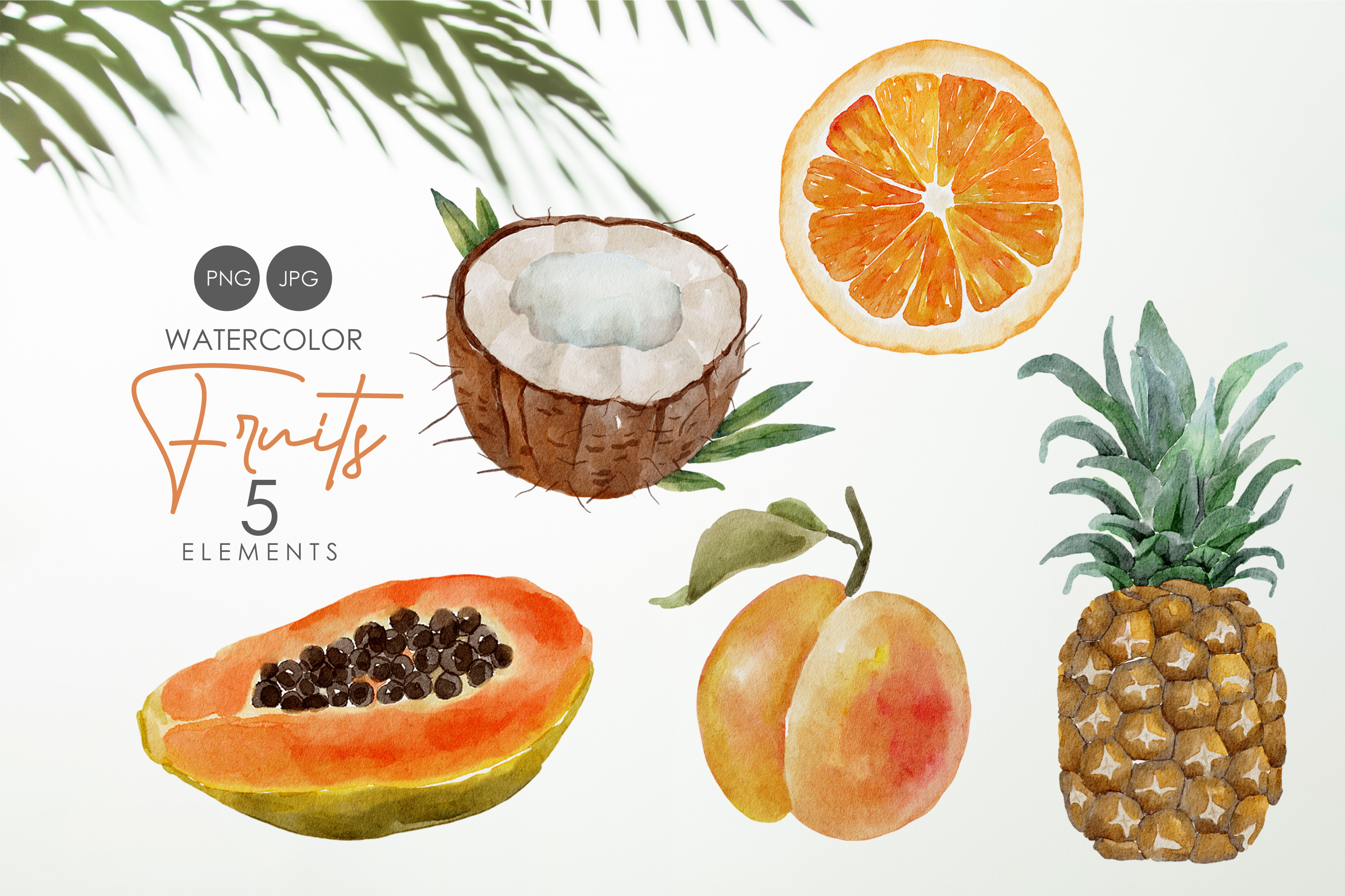 Watercolor fruits clip art, 5 PNG, a Food Illustration by ⋒DesignECShop⋒