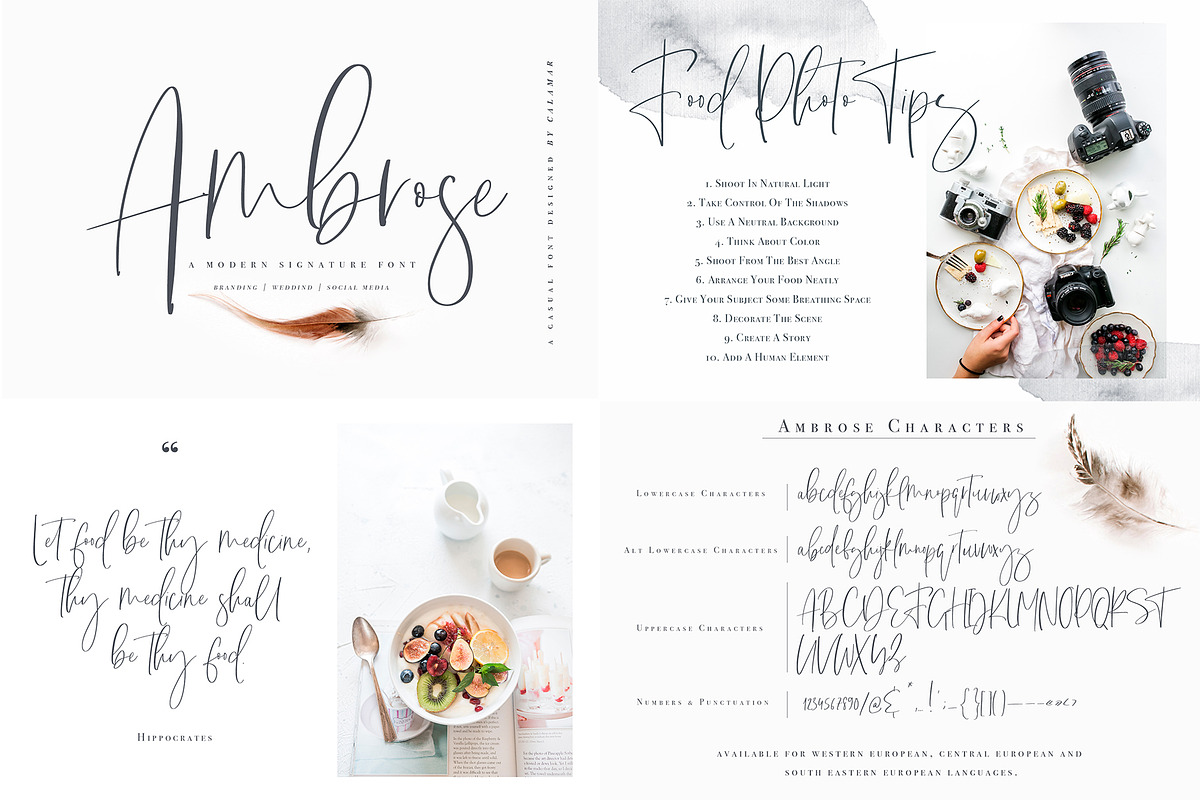 Modern Calligraphy Font Bundle, a Script Font by Calamar Studio