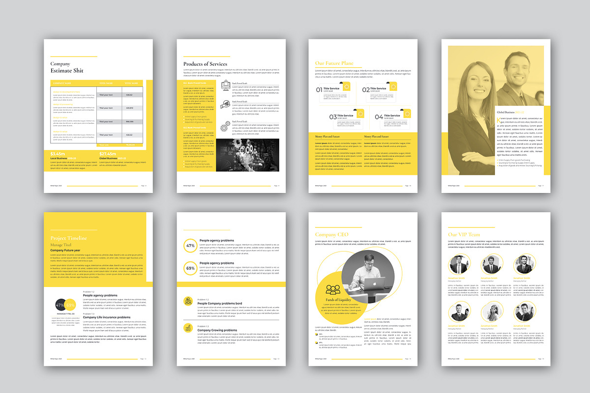 The White Paper, a Brochure Template by obayes