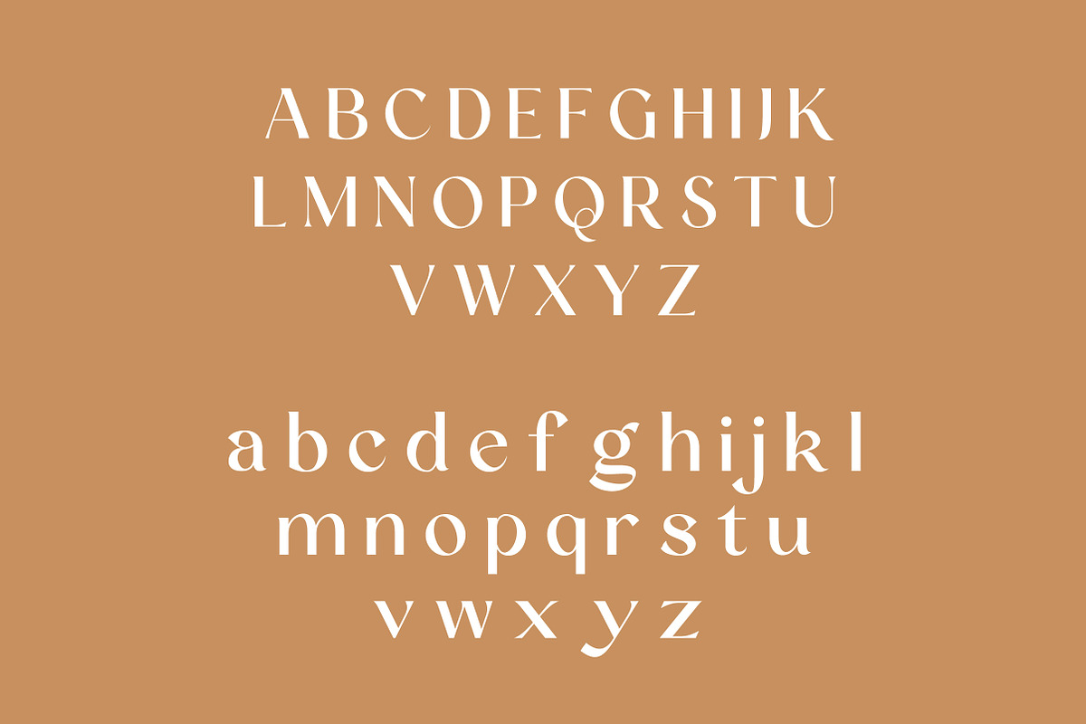 Torveil | Elegant Script Serif Font