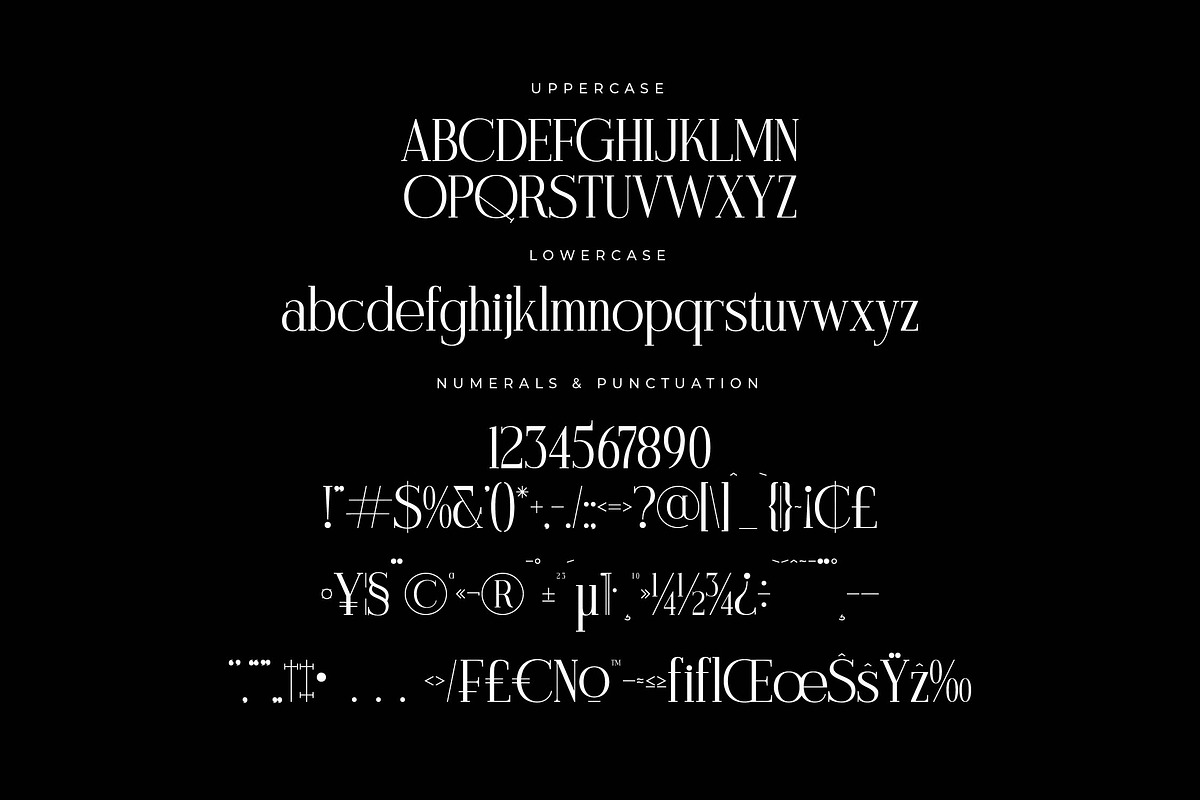 Menistra Modern Serif Font, a Serif Font by Letterena Studios