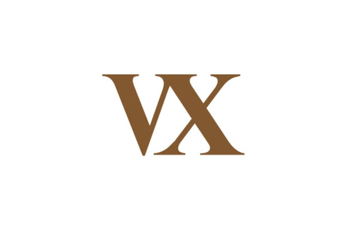 VX logo design, a Branding & Logo Template by xcoolee