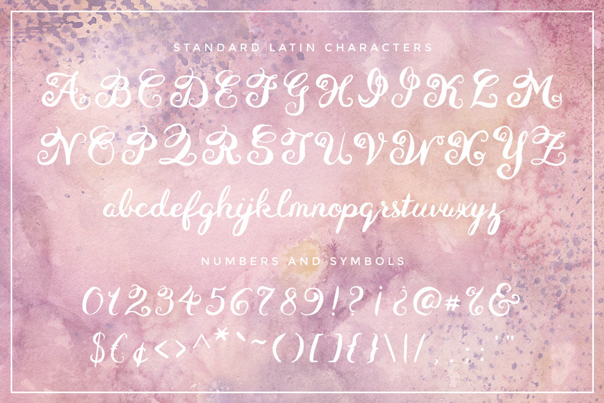 Eiffell Brush Script Font + Extras, a Script Font by Design Panoply