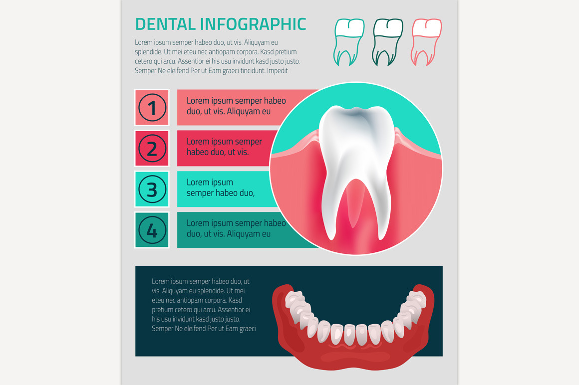 Teeth Vector Infographic, an Education Illustration by Anna's Shop