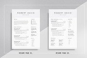 CV, a Resume Template by Mr-Template