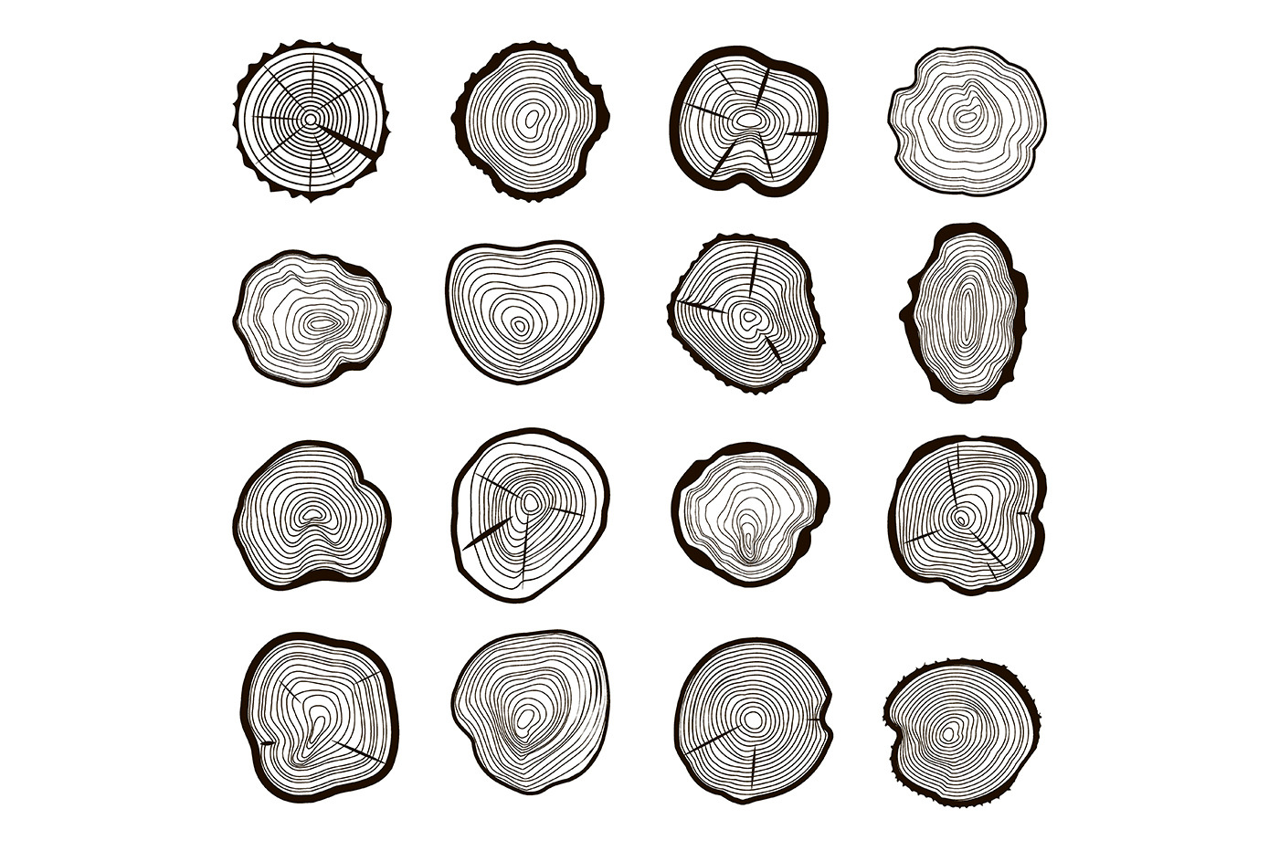 Tree Rings Set Saw Cut Trunk. Vector, an Object Graphic by Bigmouse_art