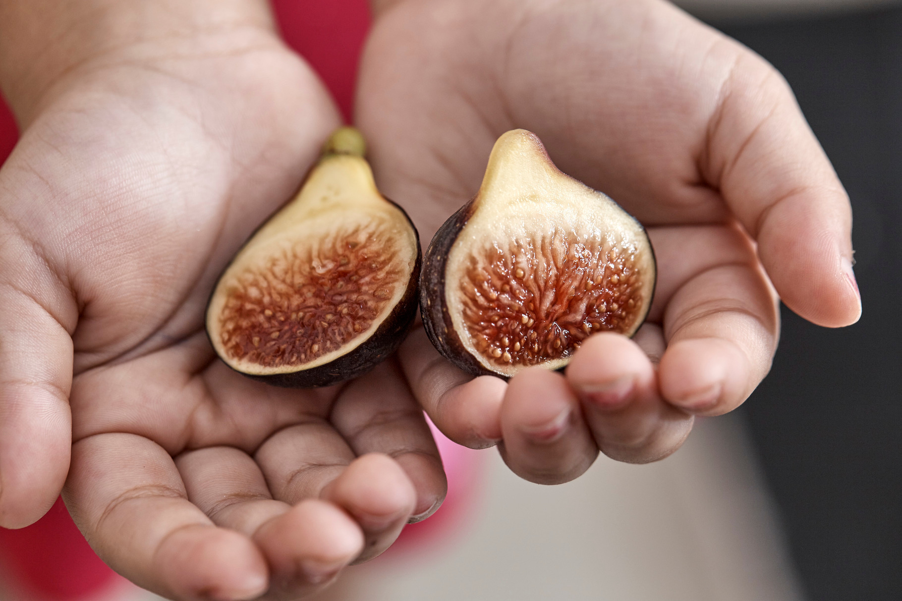 Girl hand holding a sliced fig featuring hand, holding, and fig, a Food ...