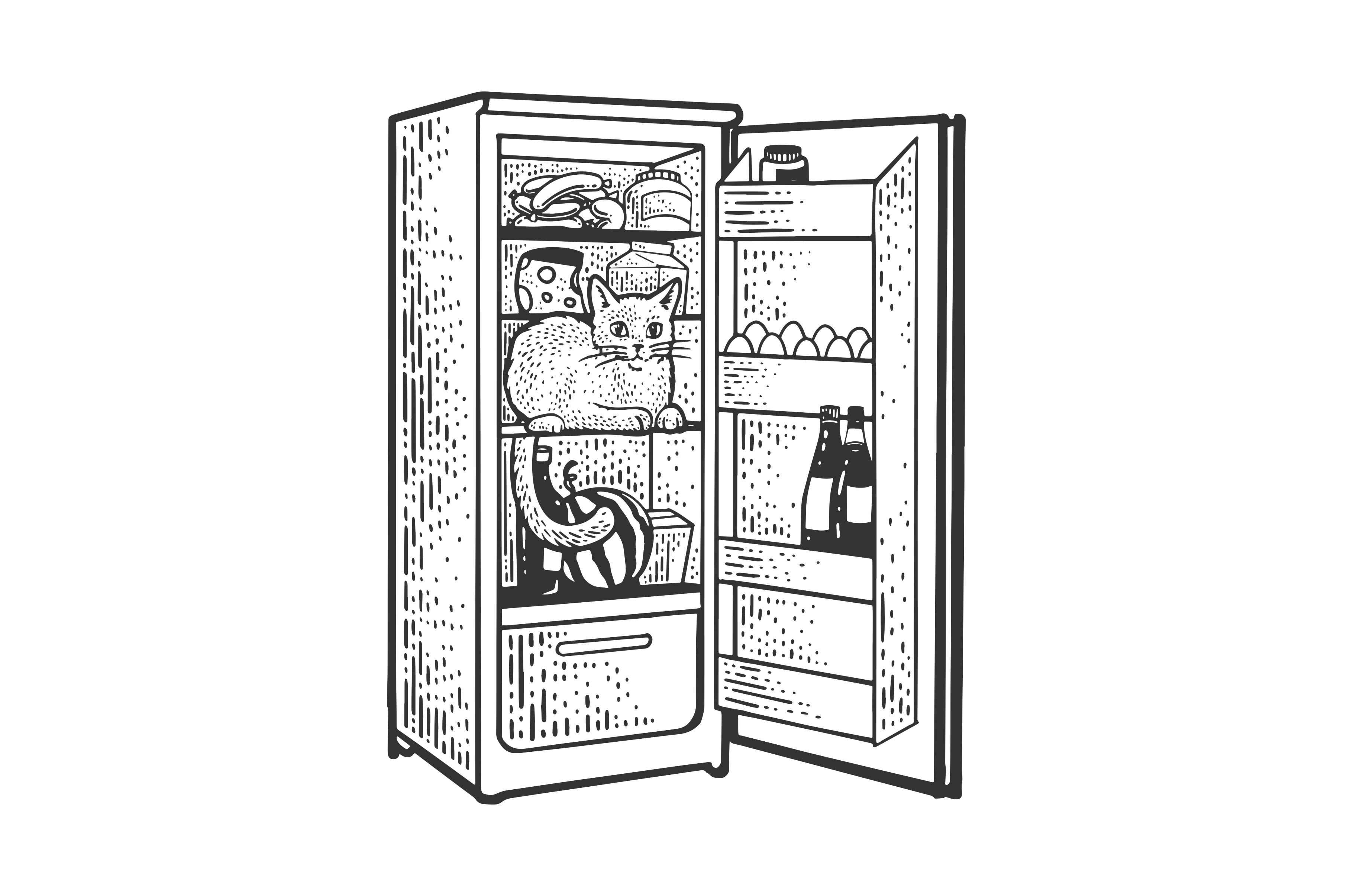 Cat in fridge sketch vector, an Animal Illustration by AlexArt