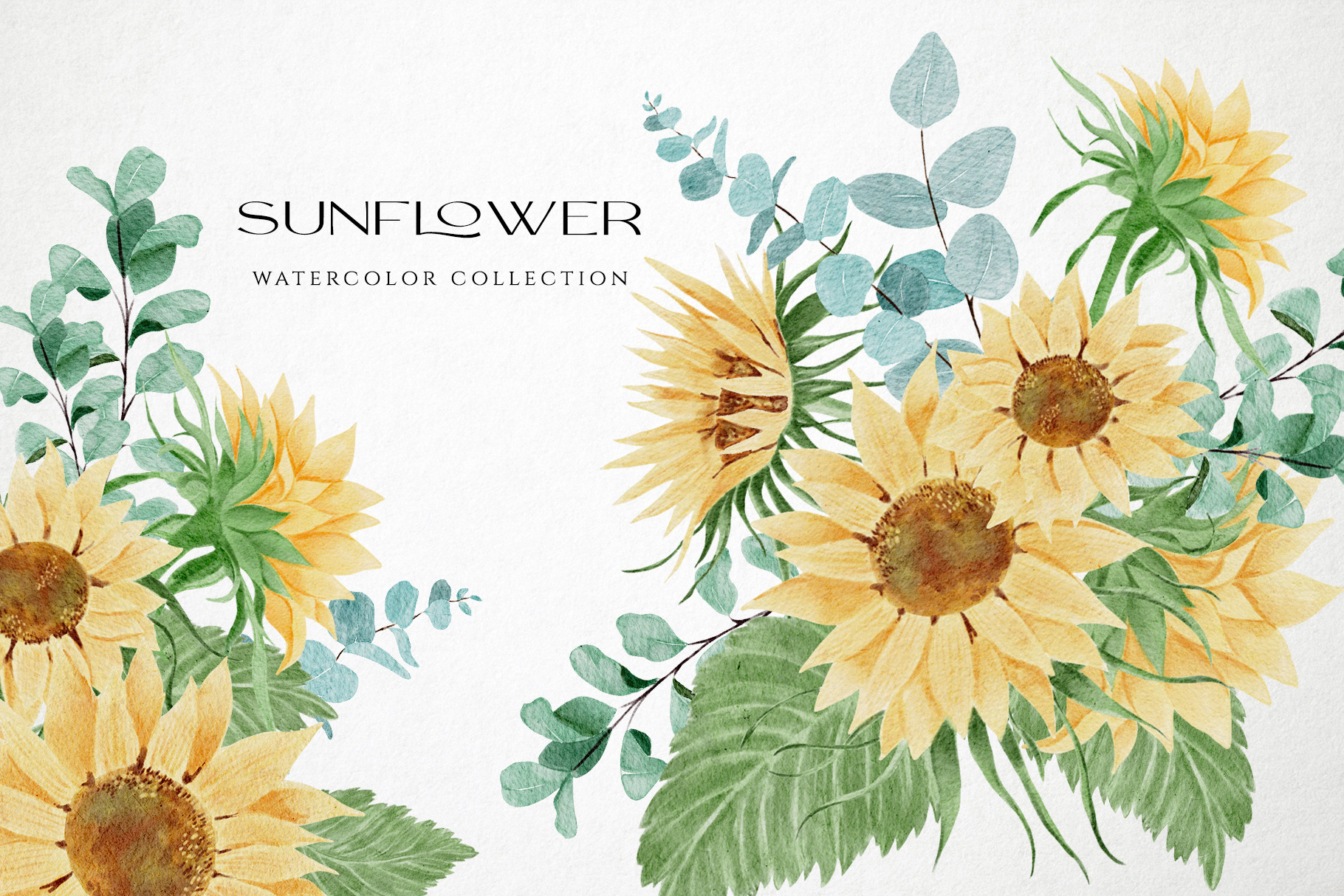 Sunflower Watercolor Clipart, an Illustration by NevaDesign | Creative ...