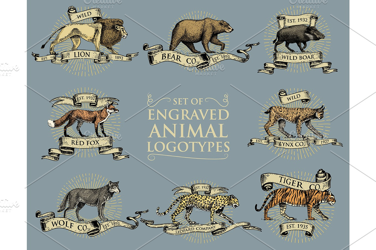 big set of vintage emblems, logos or badges with wild animals tiger ...