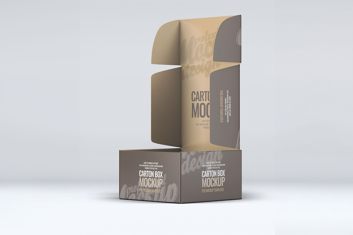 Carton Box Mock-Up