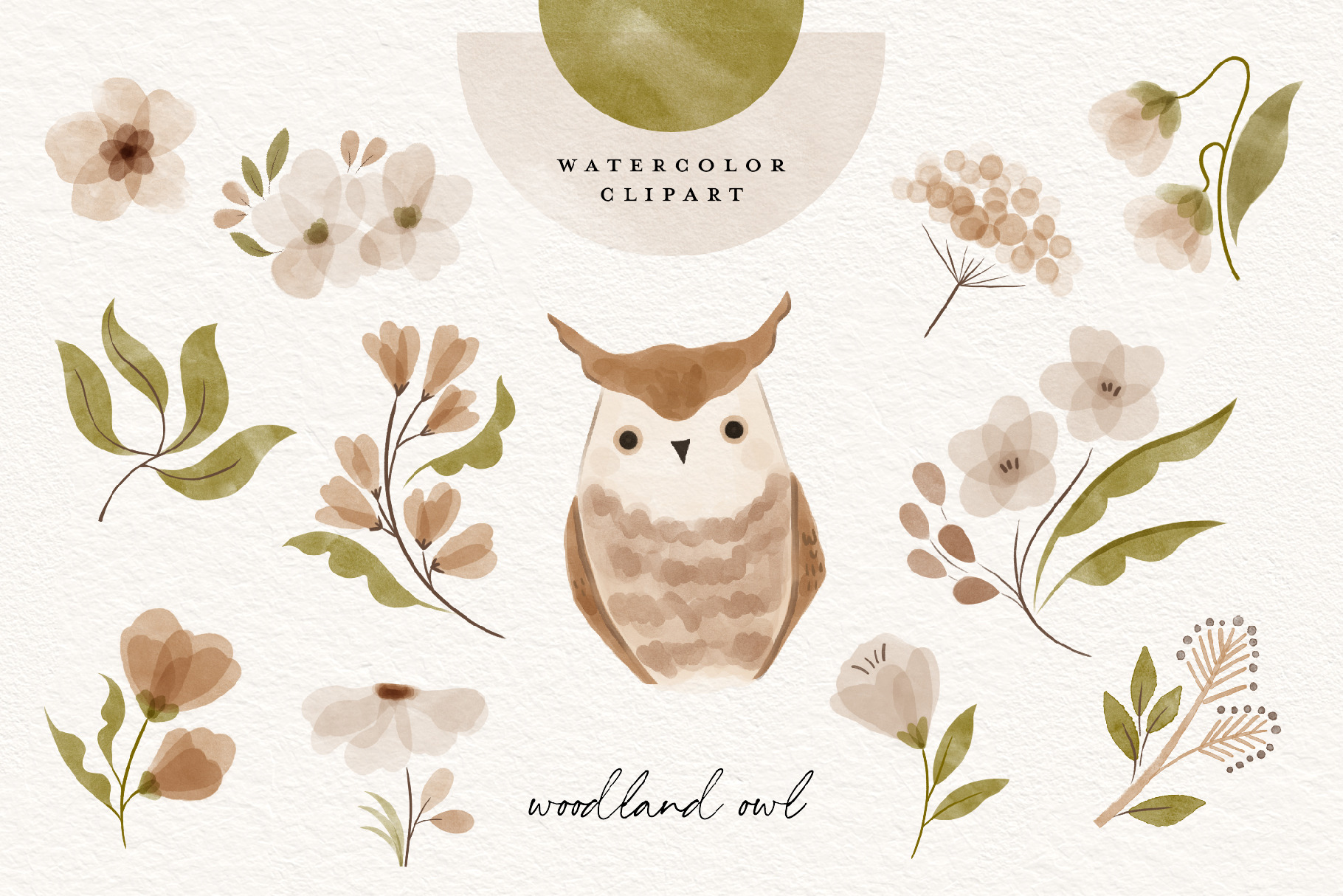 watercolor woodland owl clipart, an Animal Illustration by beatriceviyiwi