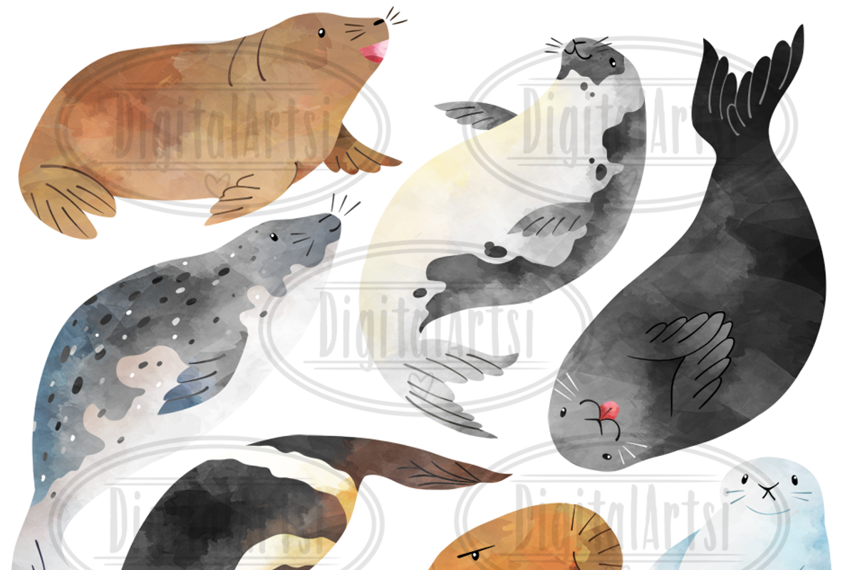 Watercolor Seals Clipart, an Animal Illustration by DigitalArtsi
