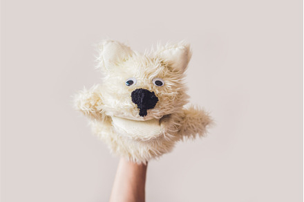 Puppet show dog on a gray background | Animal Stock Photos ~ Creative ...