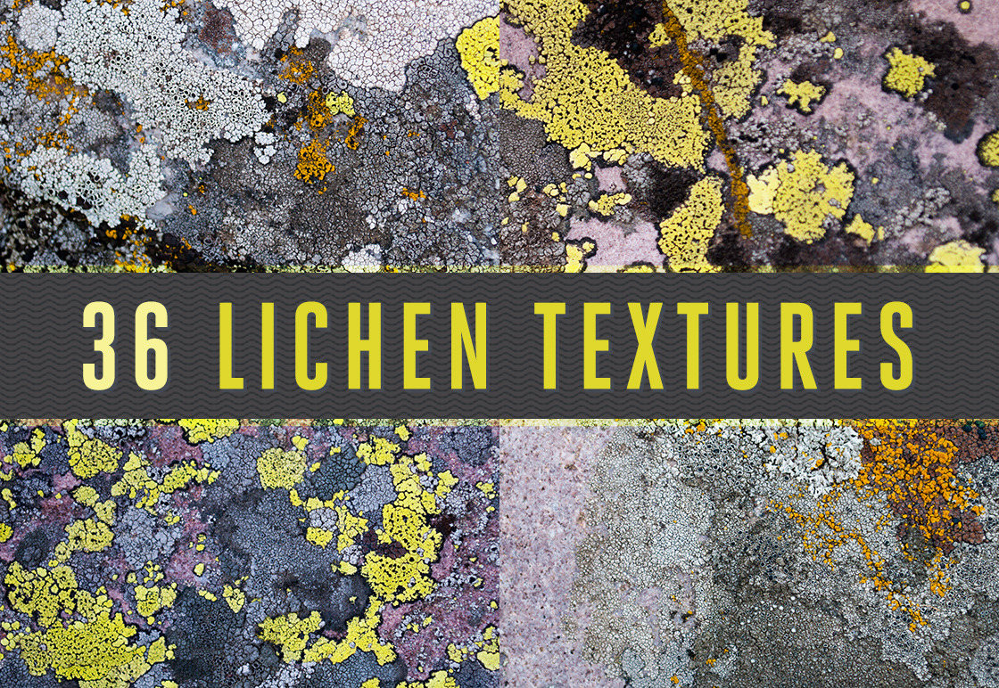 36 Lichen Textures, a Texture Graphic by MarkieAnn Creative