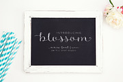 Blossom, a Script Font by OnTheSpotStudio