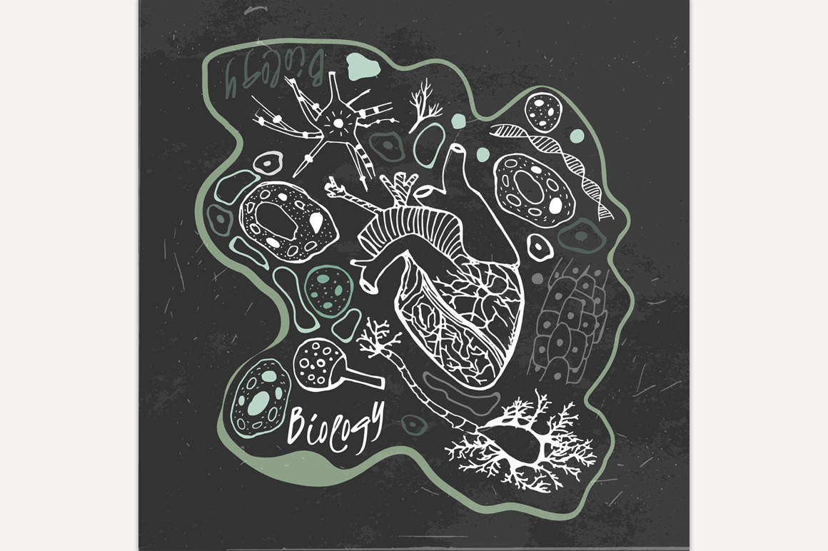 Vector Biology Doodles, an Education Illustration by Anna's Shop ...