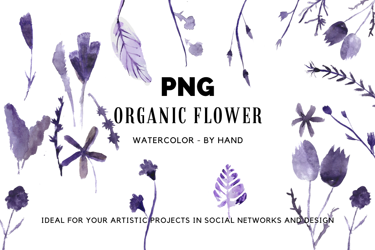 collection purple watercolor flowers, an Object Graphic by Creative ...