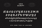 Caffeine & Gasoline Fonts + Extras, a Script Font by Davide Bassu