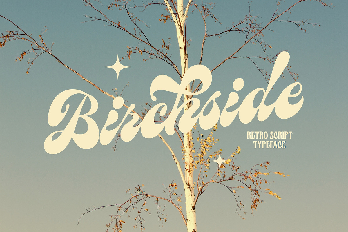 Birchside Script, a Script Font by Get Studio