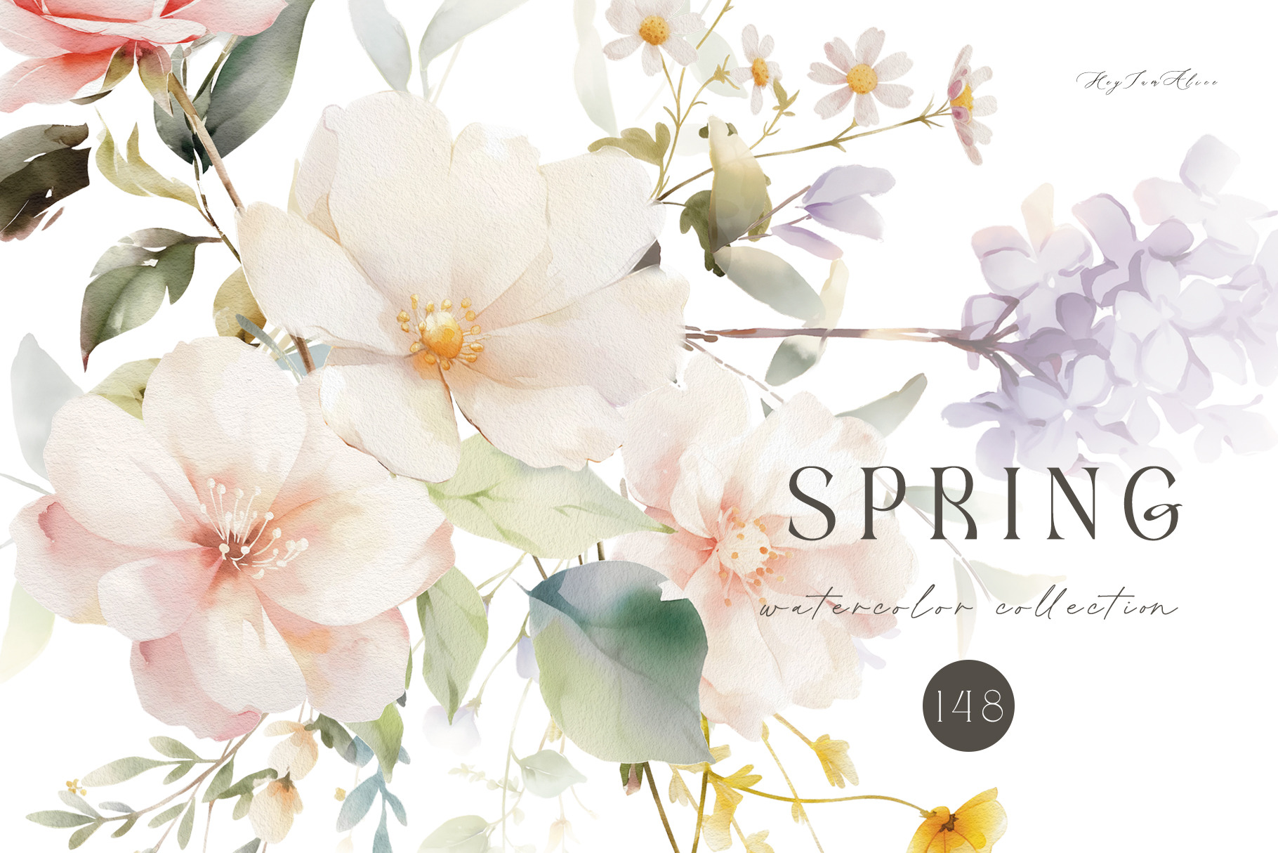 Spring flowers, a Decorative Illustration by heyiamalice
