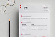 Swiss Resume Template, a Resume Template by Nina Shaw