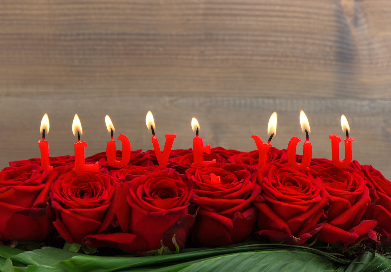 Red roses and burning candles. LOVE, a Holiday Photo by LiliGraphie