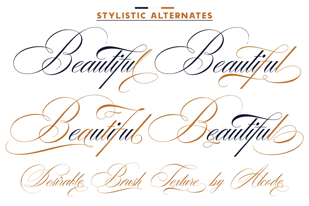 Desirable Brush Texture, a Script Font by Alcode