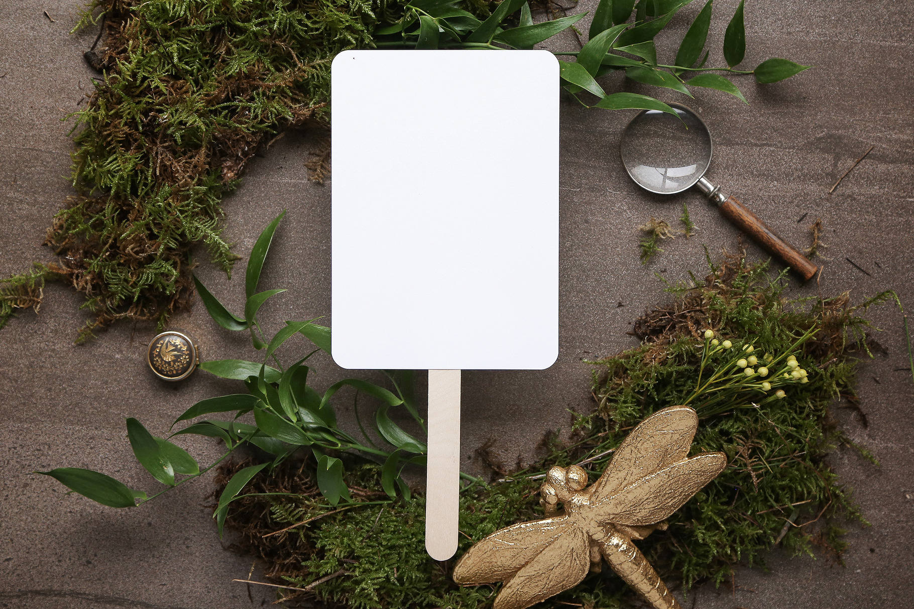 Paddle program fan mock up featuring mockup, mock up, and mockups, an ...