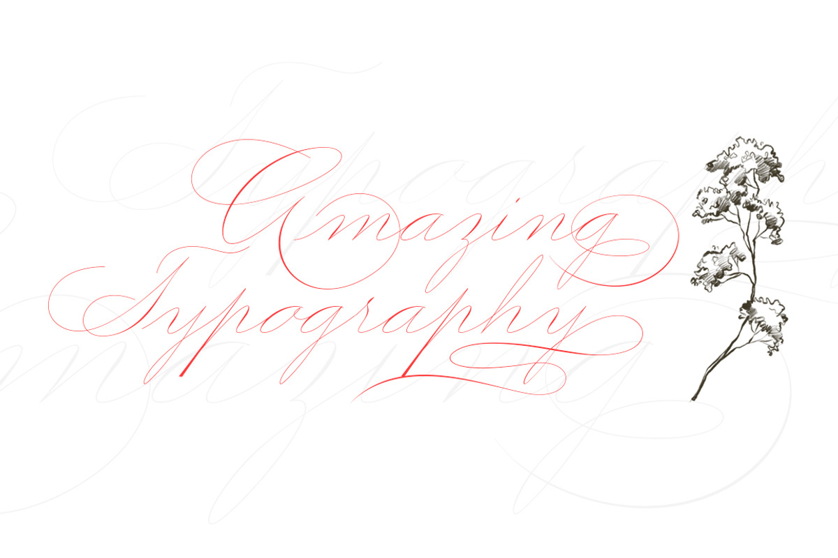 Graceful | New Update, a Script Font by Alcode