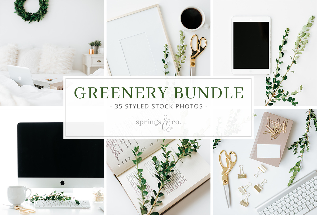 Greenery Styled Stock Photo Bundle, a Business Photo by Springs & Co.