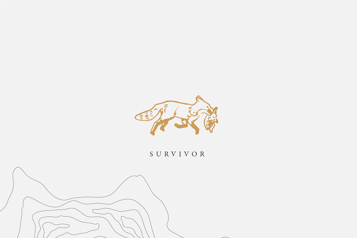 VINTAGE FOX LOGO & ILLUSTRATIONS, a Branding & Logo Template by Uncle ...