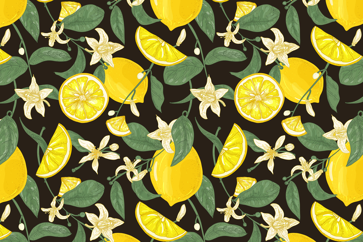 Lemon hand drawn set and seamless, a Decorative Illustration by Good ...