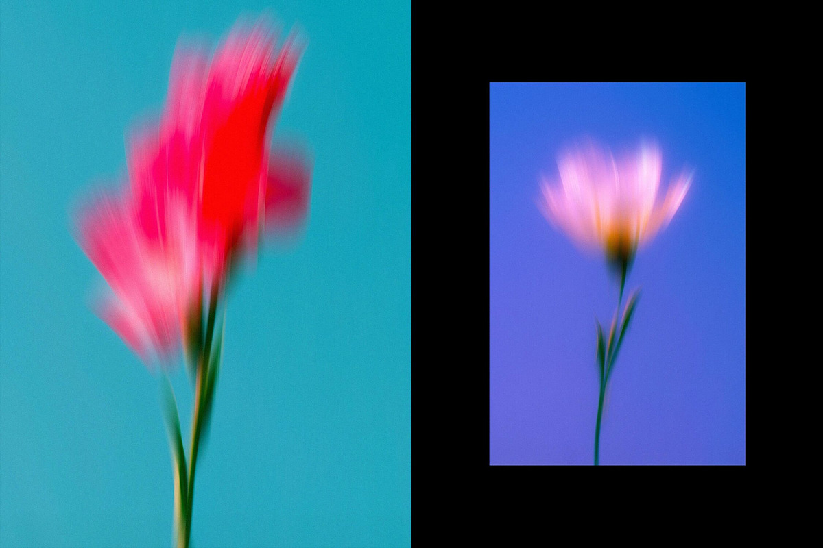 Dream Haze Flower Posters Collection, a Texture Graphic by Design Squad