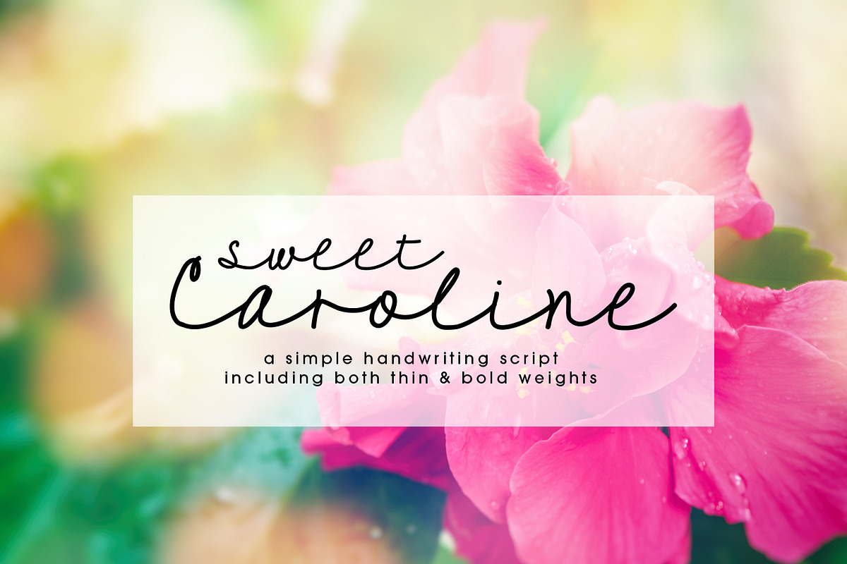 Sweet Caroline, a Script Font by OnTheSpotStudio