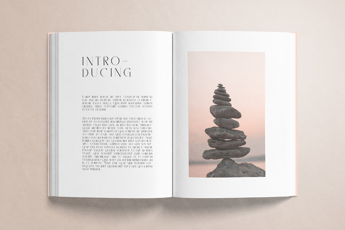LITERACY Modern and Stylish Serif, a Serif Font by Storytype Studio