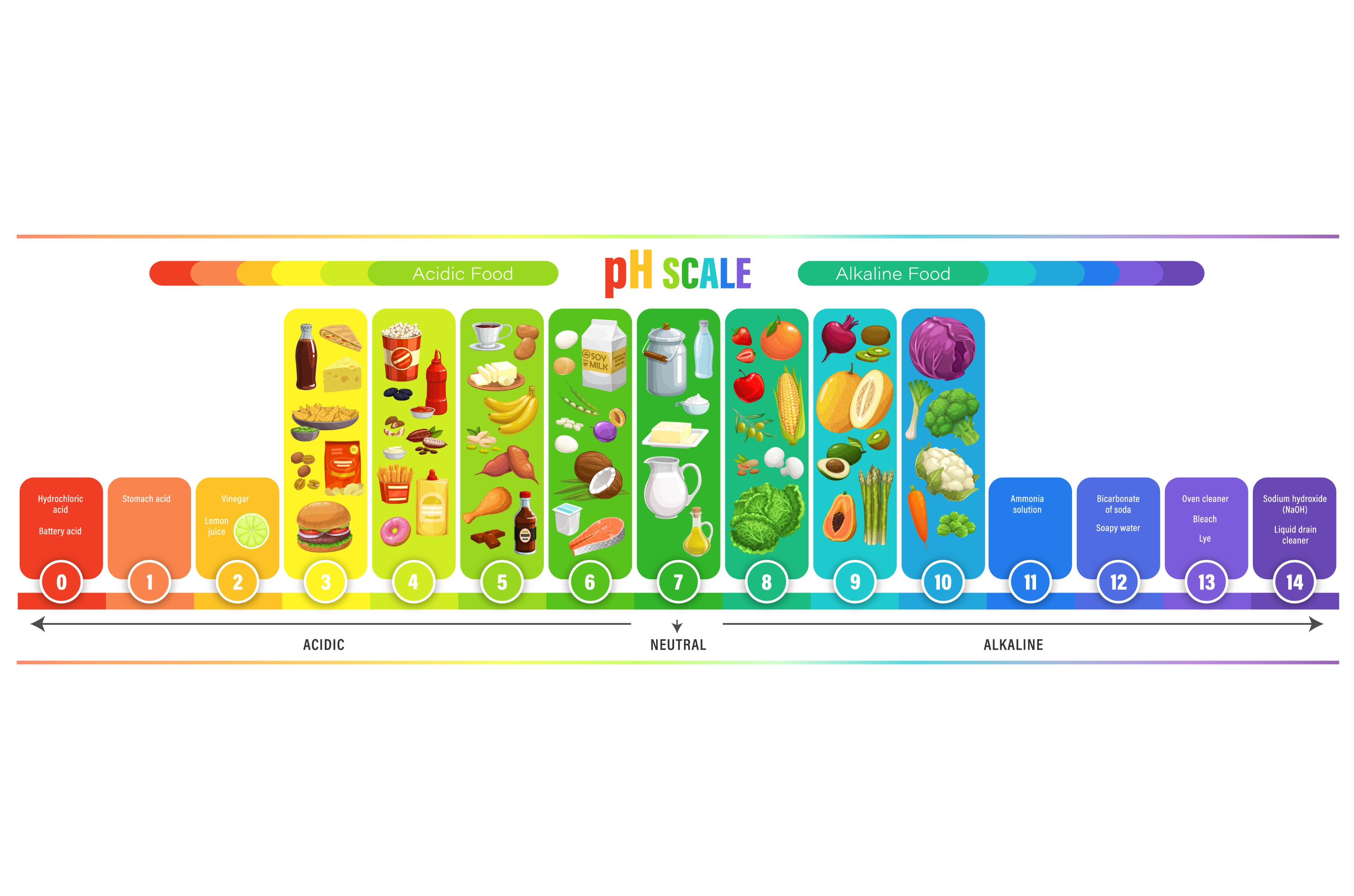 Ph scale chart, food acid balance, a Food Illustration by Vector Tradition