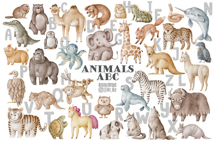 Zoo Alphabet. Alphabet "Animals" | Animal Illustrations ~ Creative Market