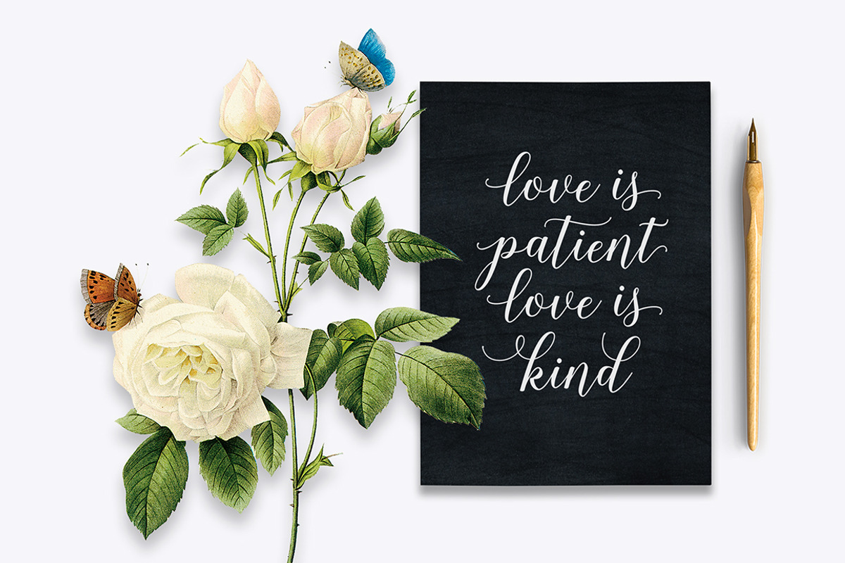 Shania Script, a Script Font by Seniors | Creative Market