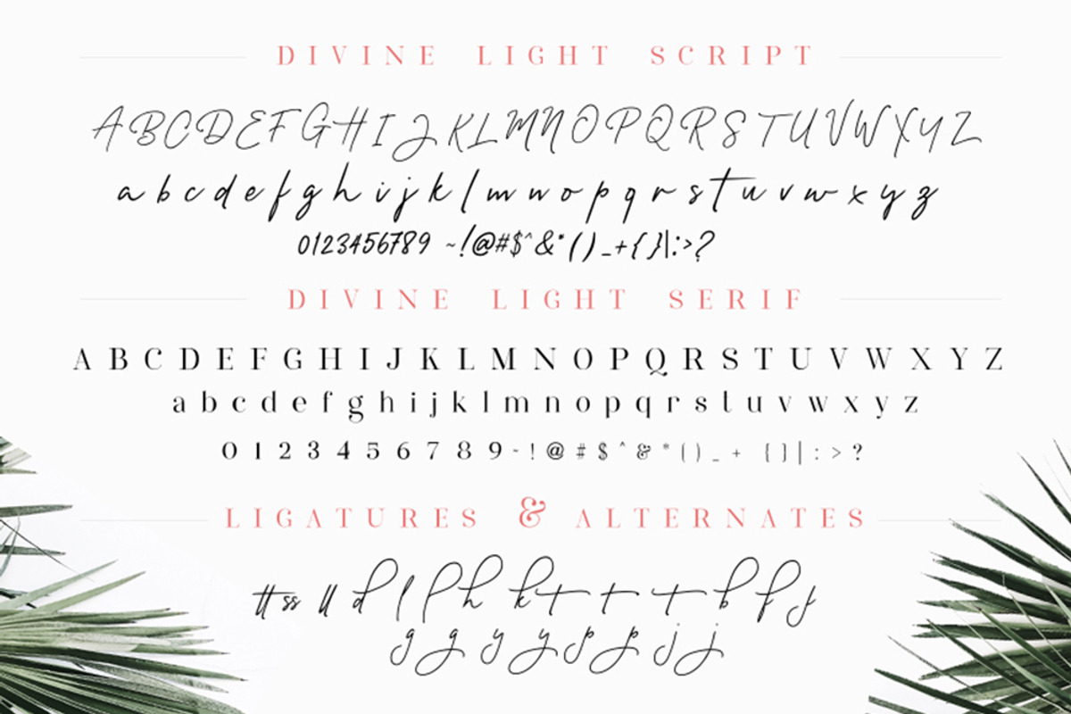 Divine Light Font Duo and extras, a Script Font by BlackCatsMedia