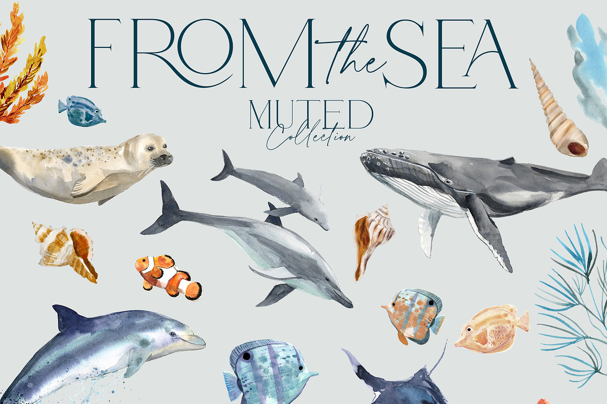 From The Sea Ocean Clipart, an Illustration by Twigs and Twine