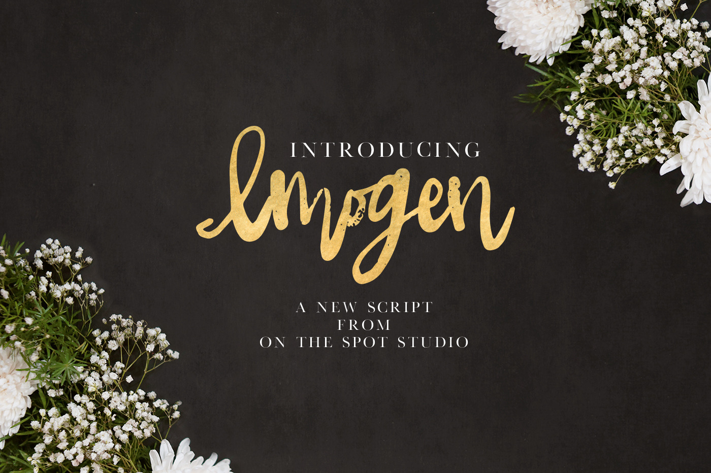 Imogen | Script Fonts ~ Creative Market