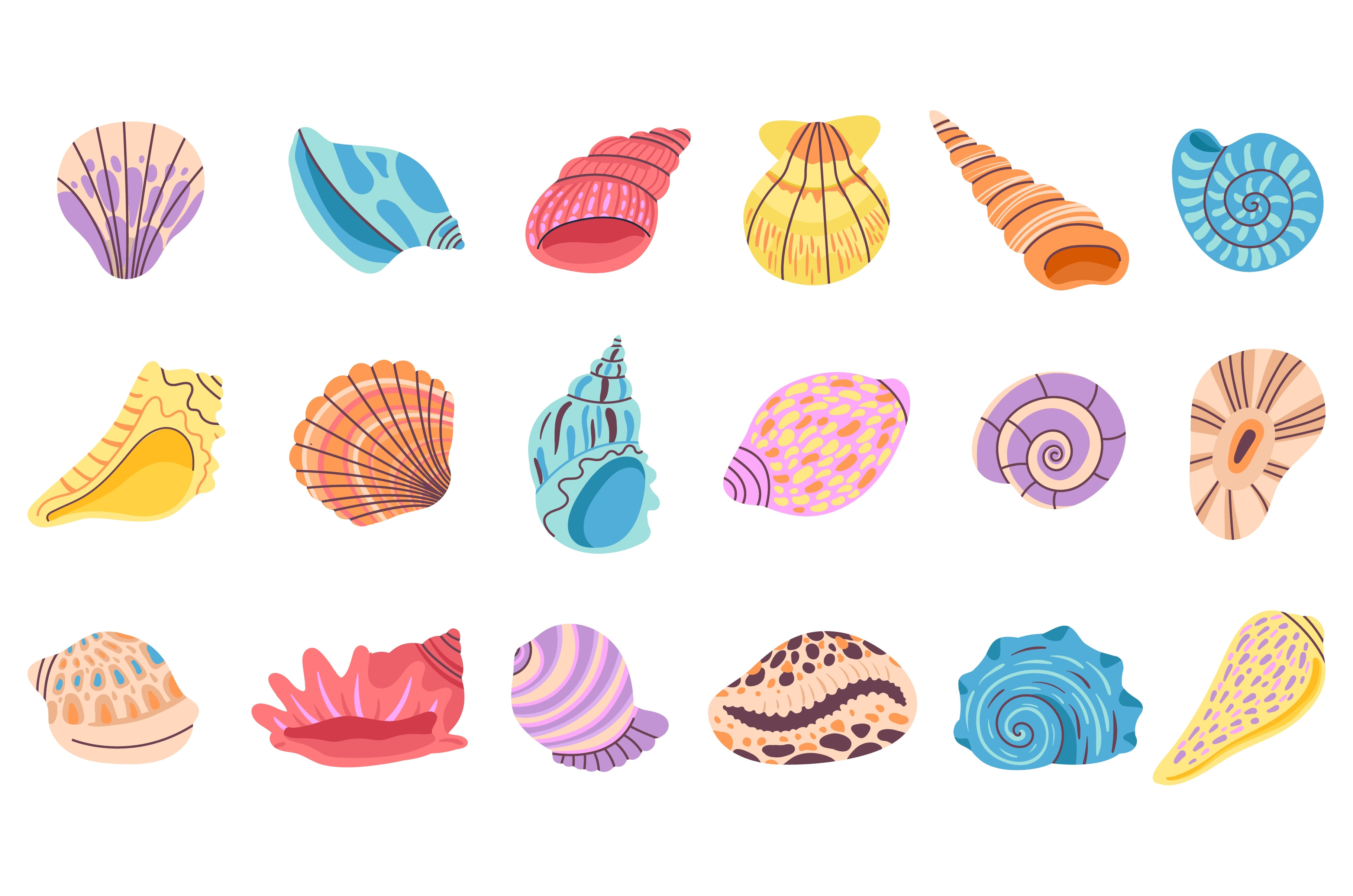 Seashell. Isolated seashells, oyster, a Background Graphic by Valerie ...