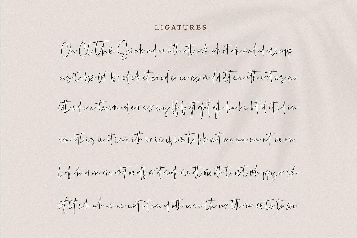 Everleigh Signature Script, a Script Font by Get Studio