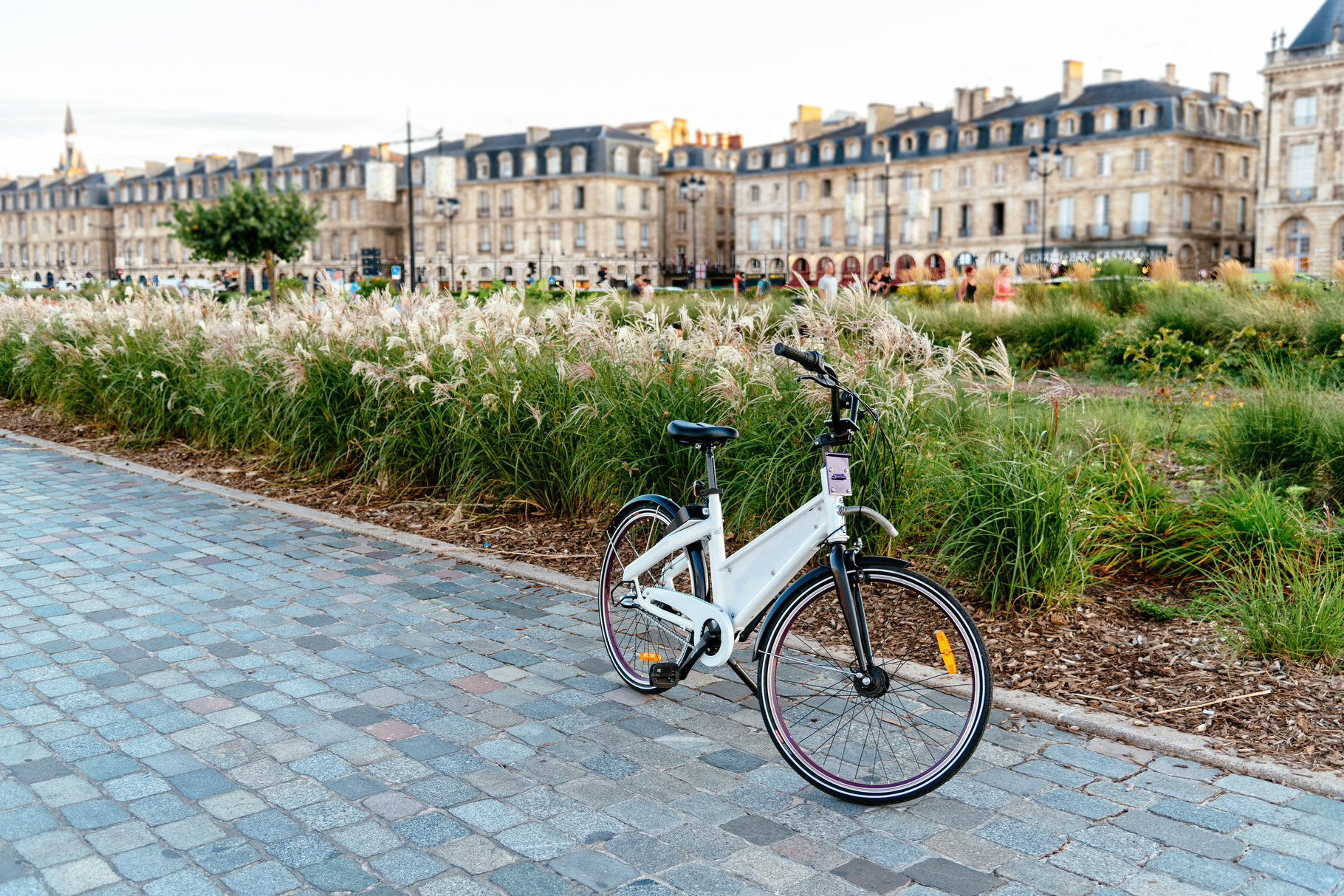 Rental bicycle parked in street, a Sports & Recreation Photo by ...
