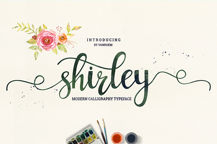 Saldina Script, a Script Font by vanroem