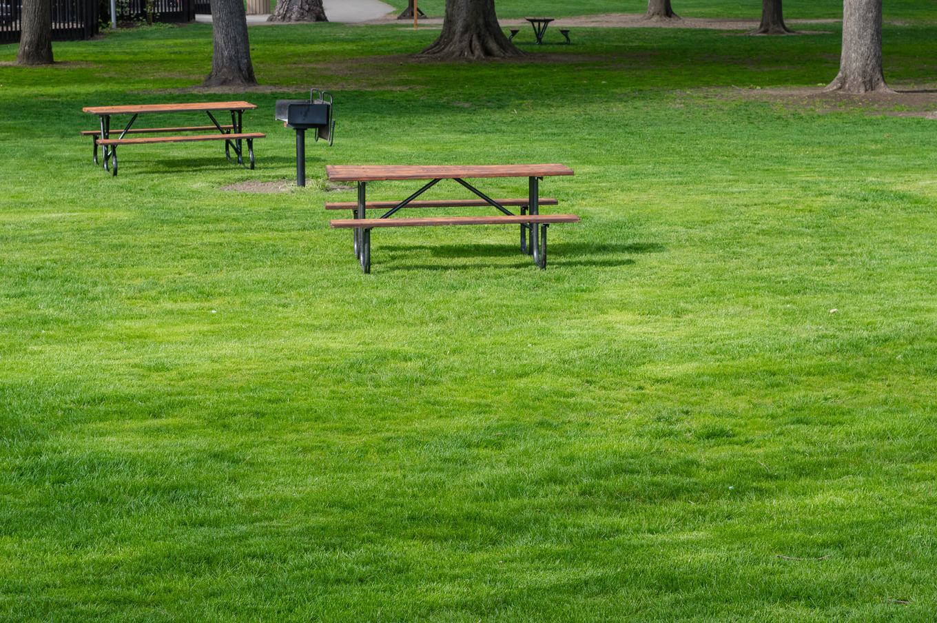 Picnic table in a park featuring green, garden, and gardening, a Nature ...