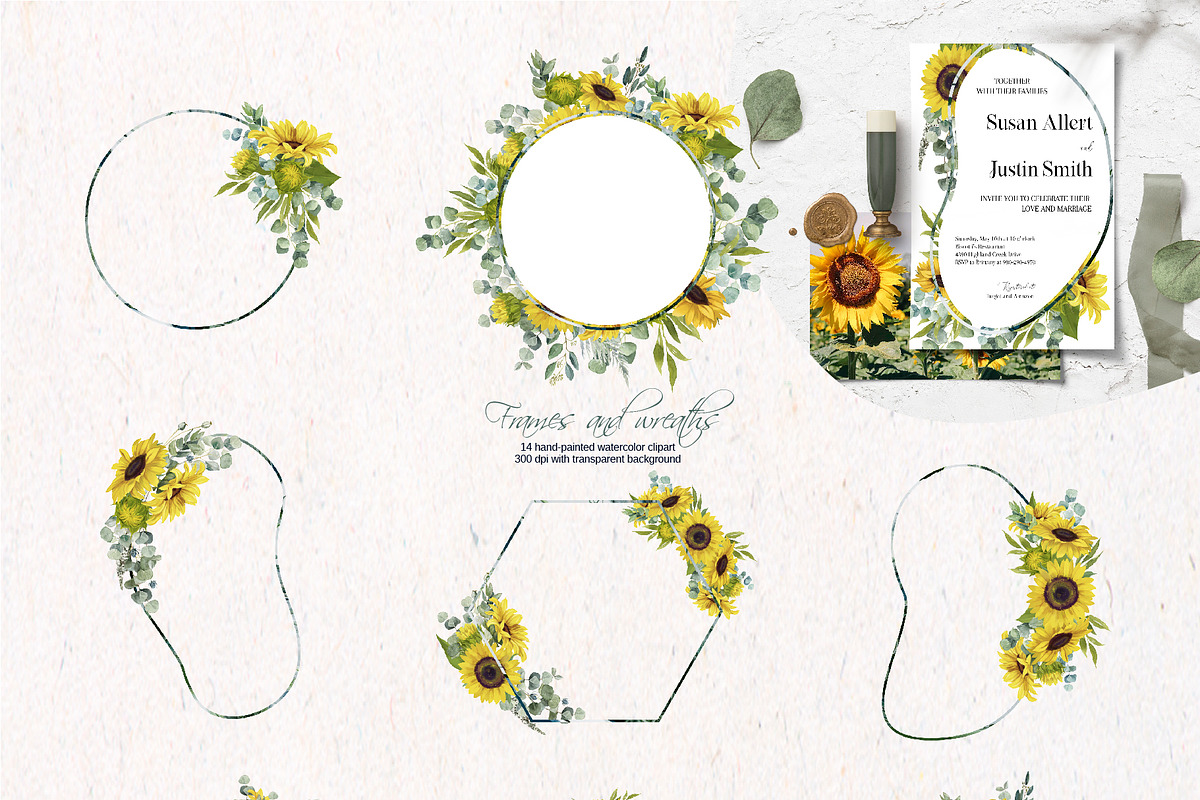 Sunflower Eucalyptus. Watercolor set