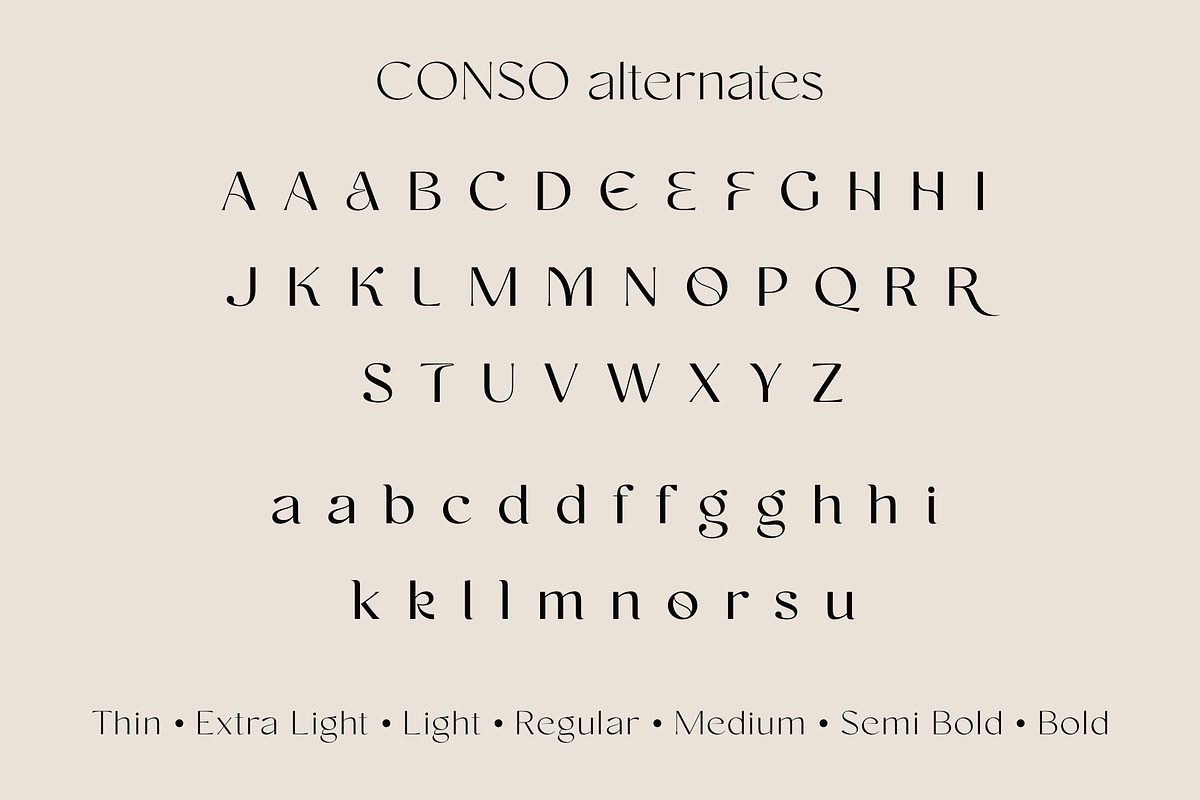 Conso | Font Family, a Sans Serif Font by Larin Type Co.