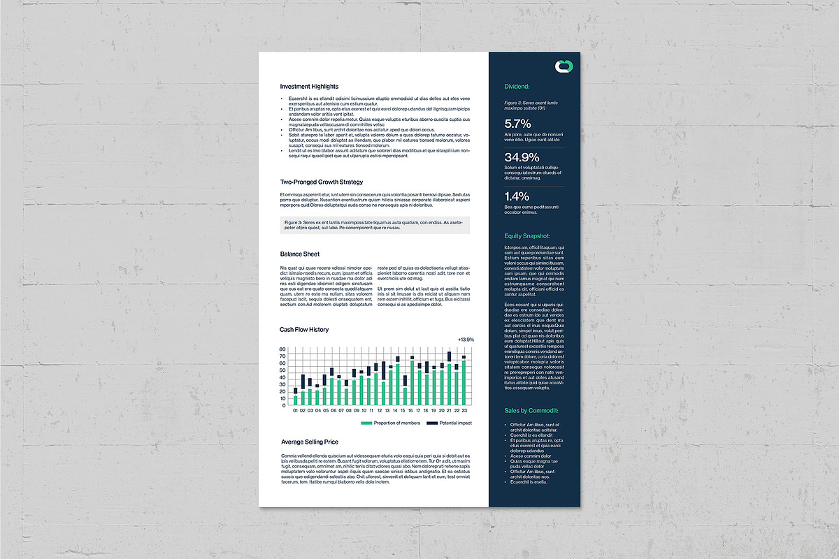 Factsheet, a Flyer Template by BrandPacks